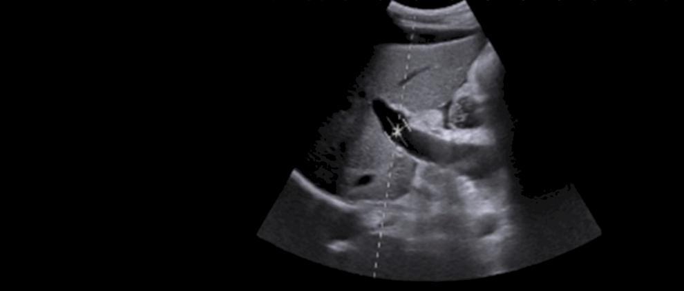 Log in to your account I BASL