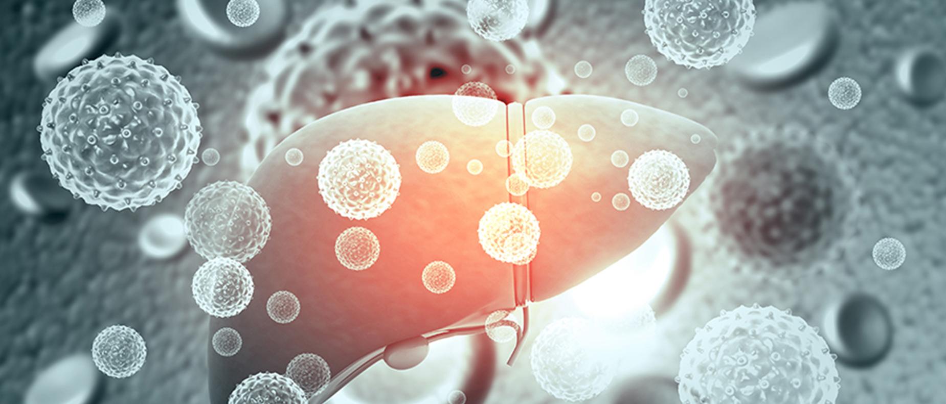 Young BASL - Under 40 and interested in liver research? I BASL