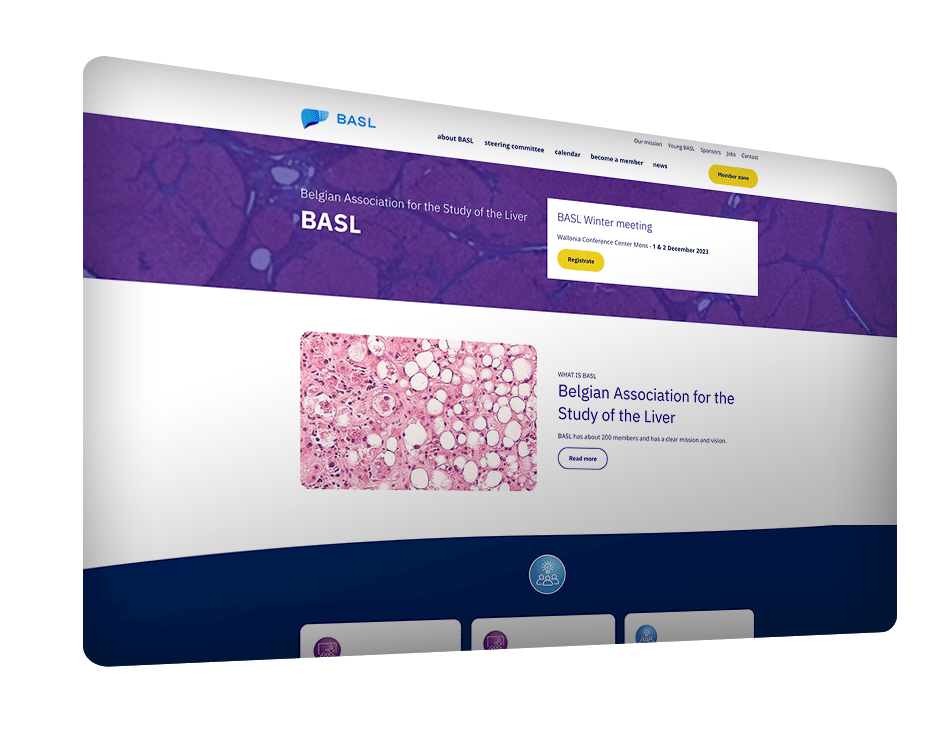 Launch new website I BASL